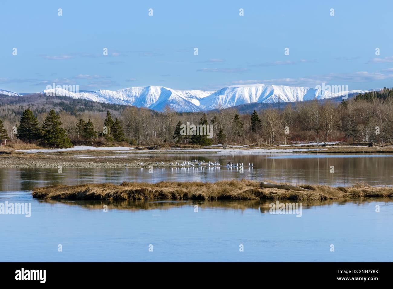Baie de Cap-Chat spring canadian landscape, Gaspésie, Québec, Canada ...