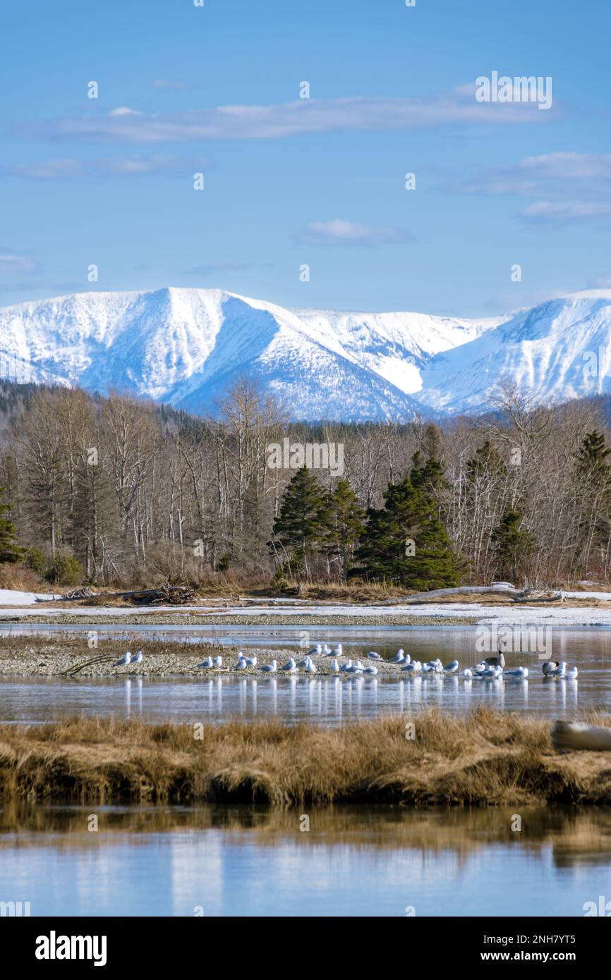 Canadian cap hi-res stock photography and images - Alamy