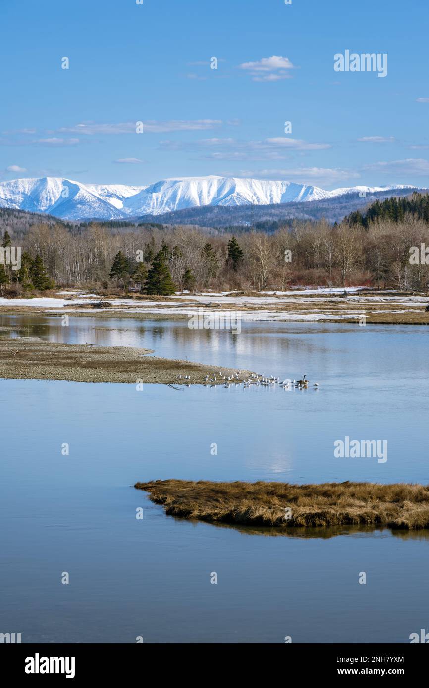 Spring canadian hi-res stock photography and images - Alamy