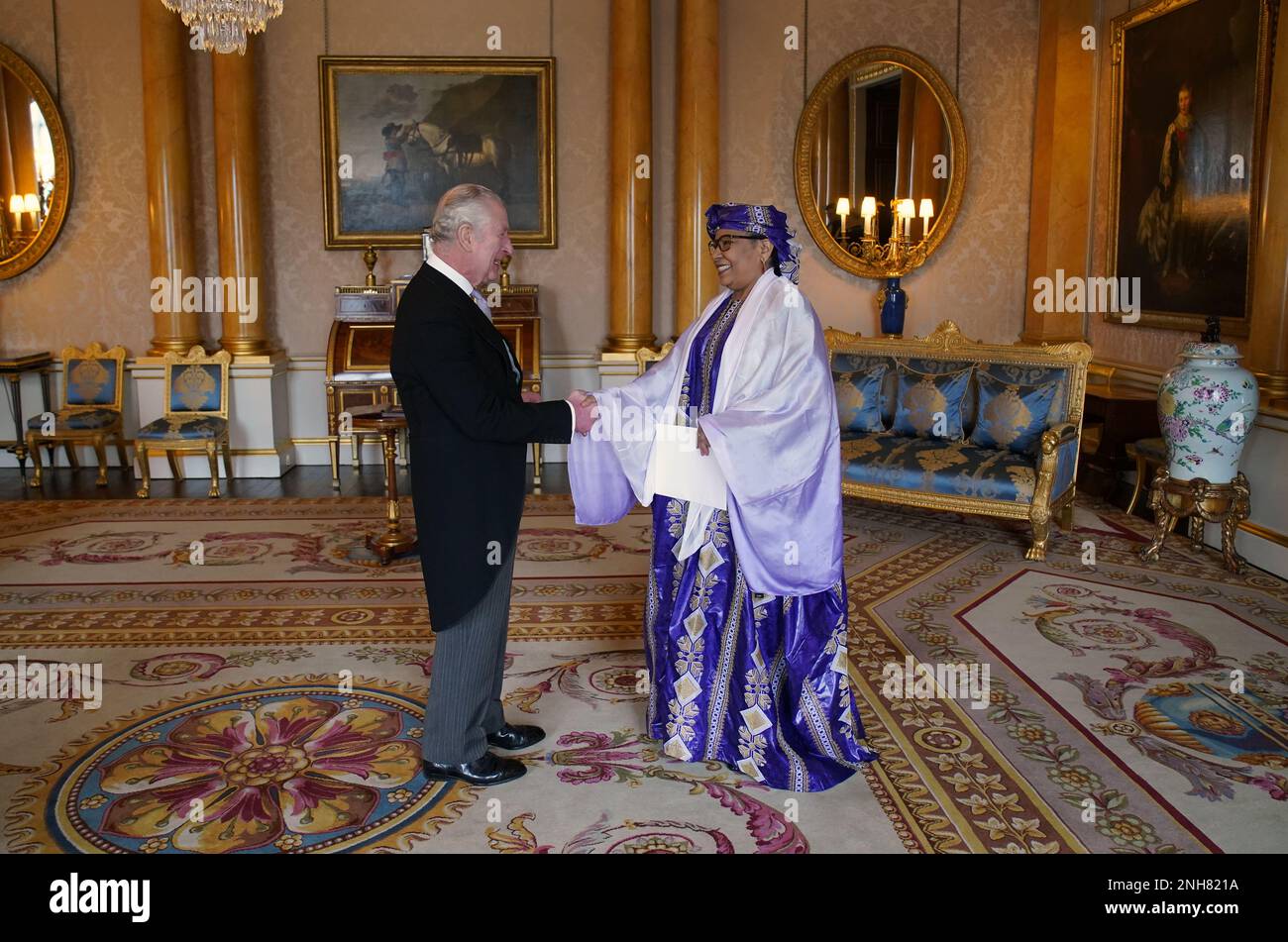 King Charles III receives Her Excellency the Ambassador of Niger ...
