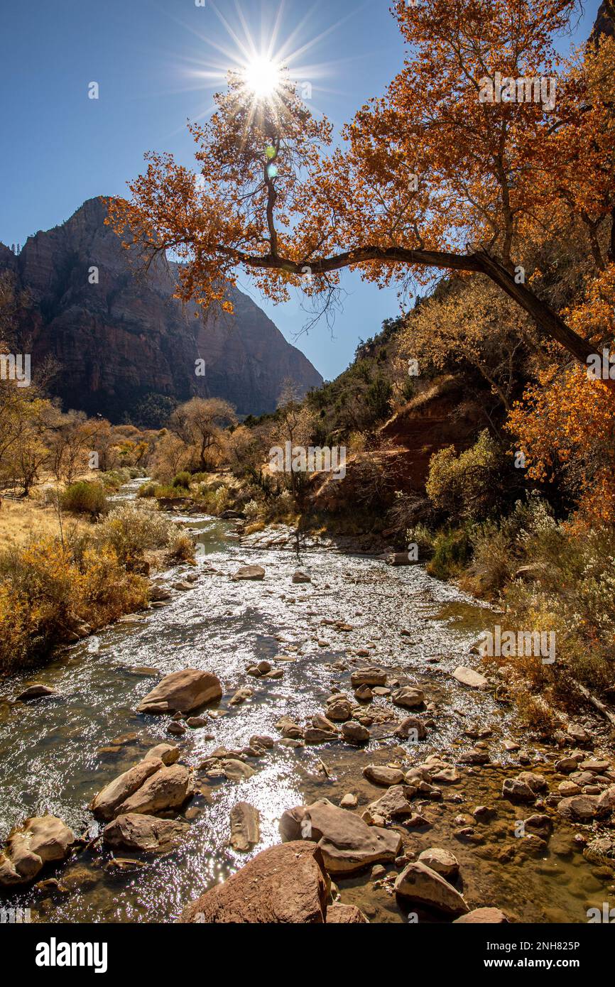 Tranquil stream with crystal clear water flowing. Photographed at Zion ...