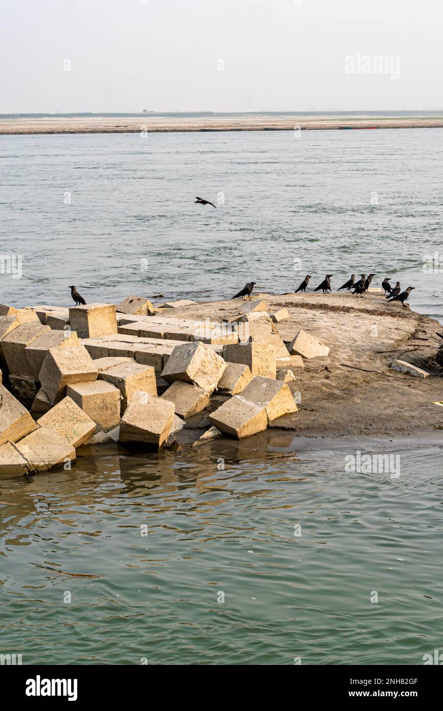 Portrait view of Concrete block. Gray Cement Cinder Block Isolated On ...