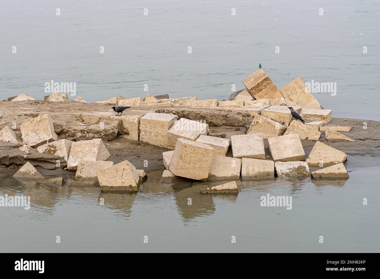 Concrete block and caron black crow. Gray Cement Cinder Block Isolated ...