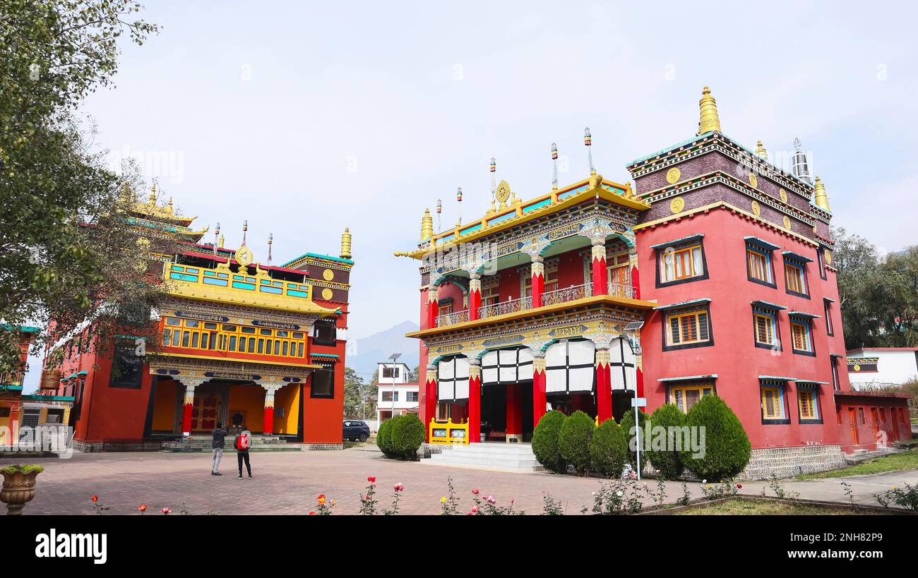 INDIA, HIMACHAL PRADESH, KANGRA, December 2022, Tourist inside Peme ...