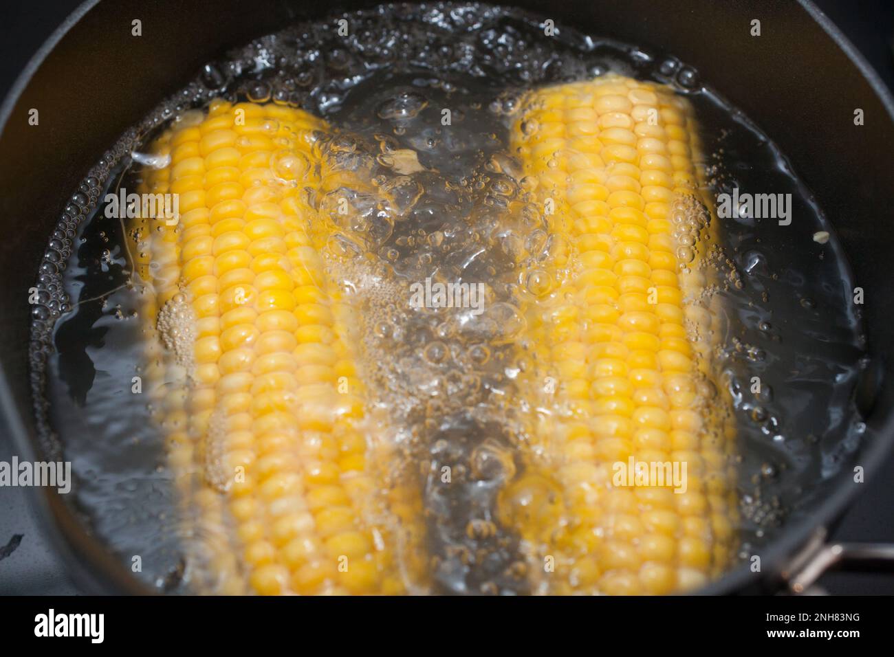 Sweetcorn boiling in a pan on the hob Stock Photo - Alamy