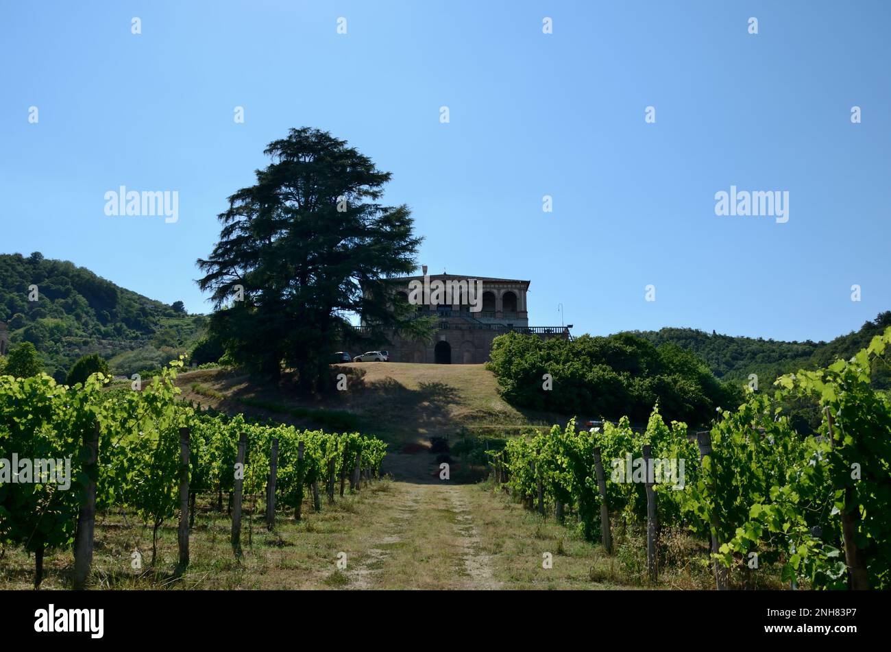 Torreglia hi-res stock photography and images - Alamy