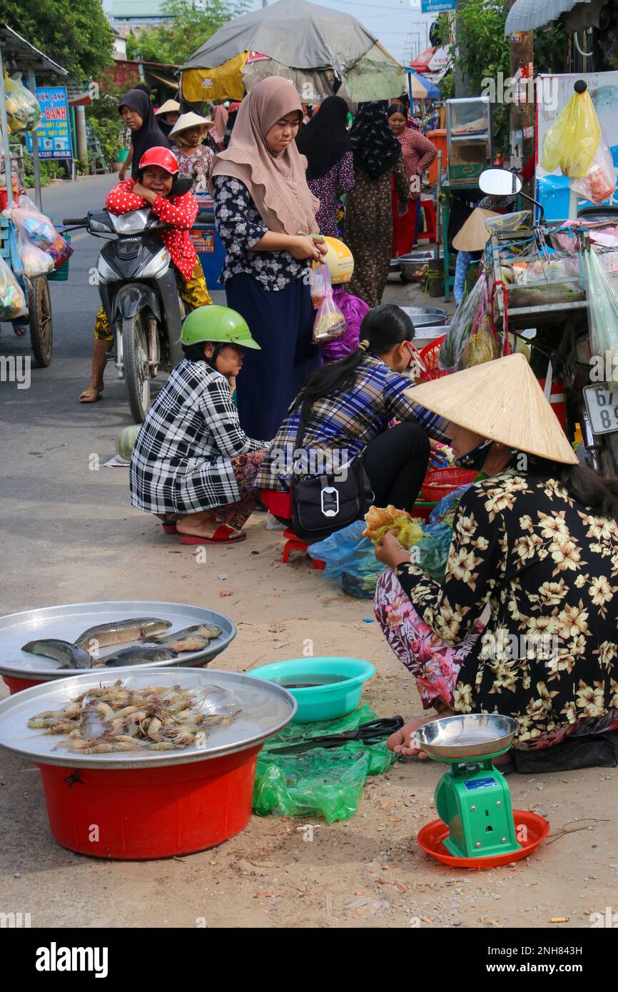 Chau Doc Floating Village, Fish Farm & Cham Minority Village Stock ...