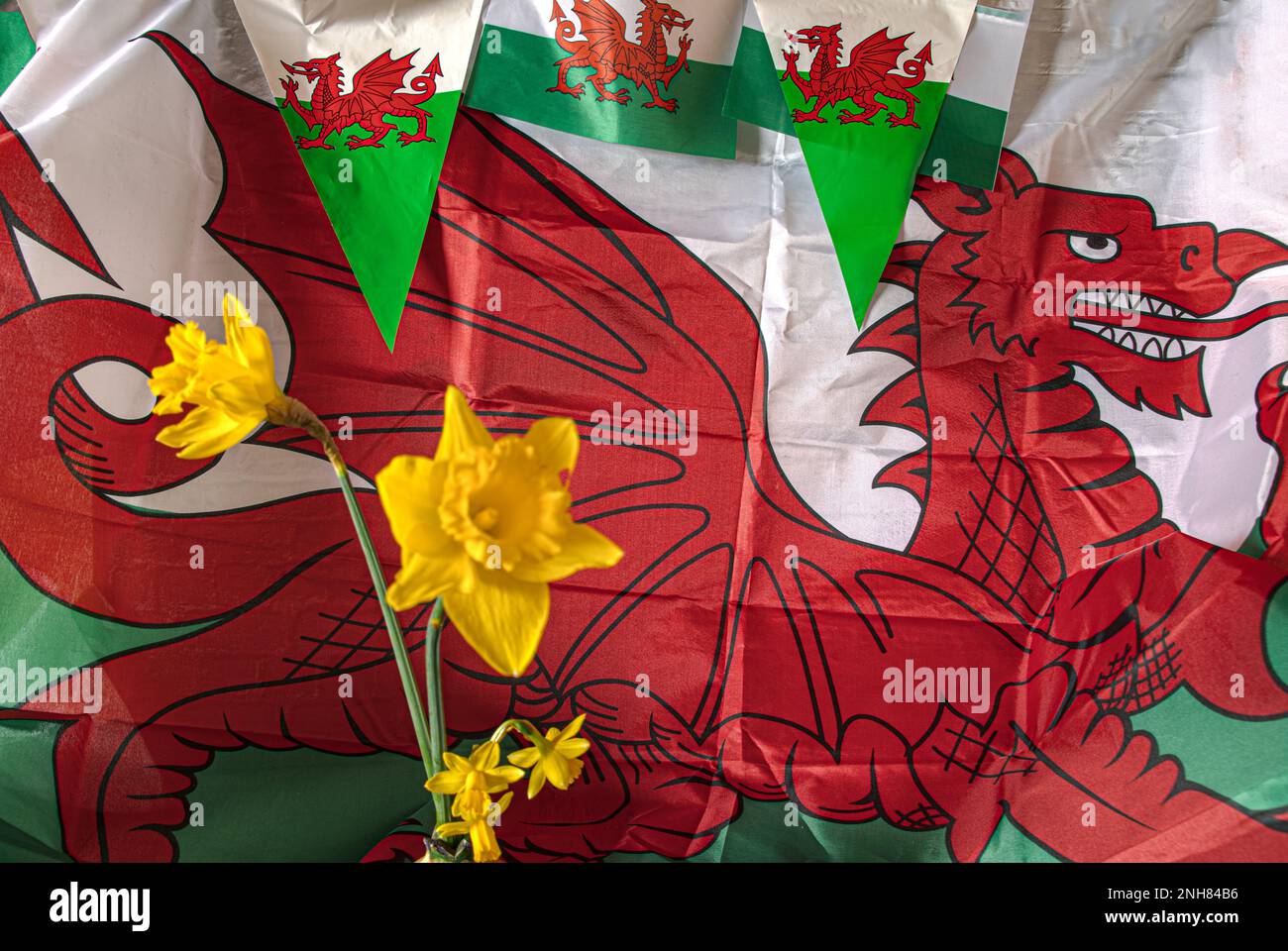 Celebrating St davids day Welsh flag Daffodils welsh cakes vintage style Stock Photo - Alamy