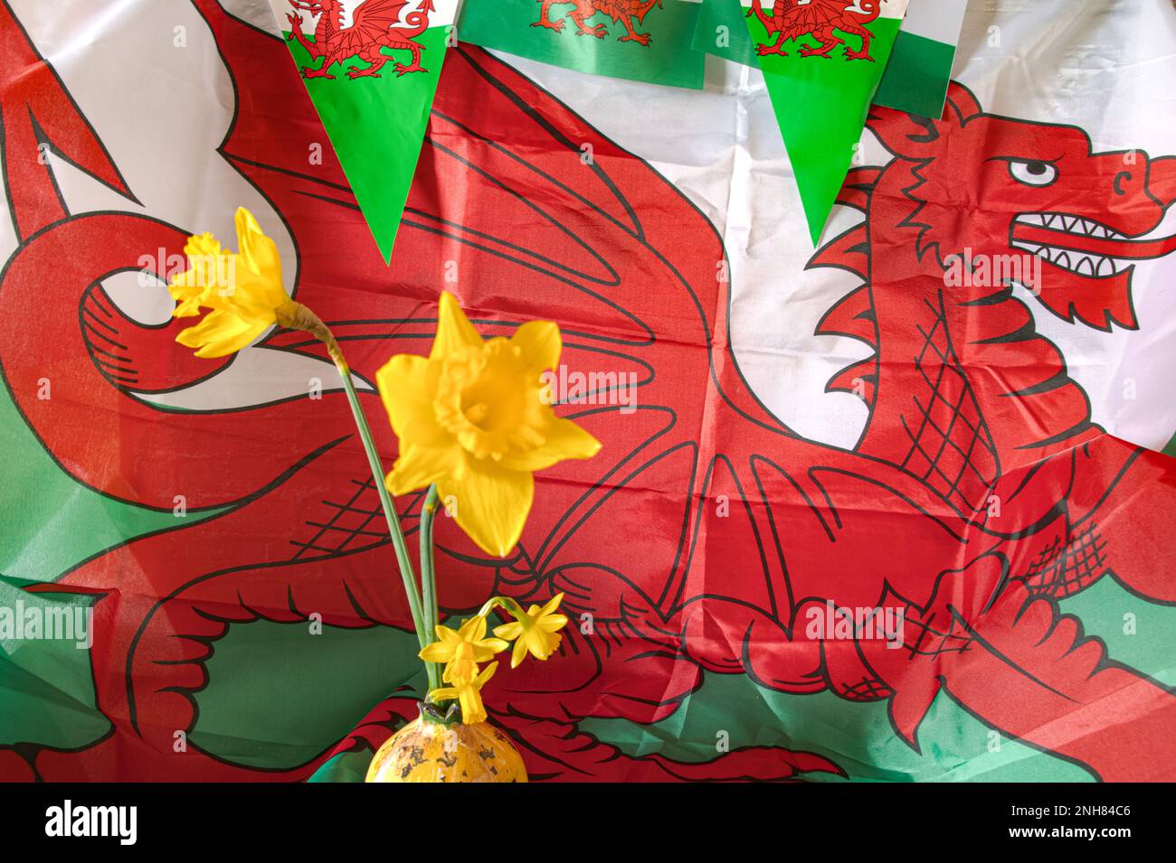Celebrating St davids day Welsh flag Daffodils welsh cakes vintage style Stock Photo - Alamy