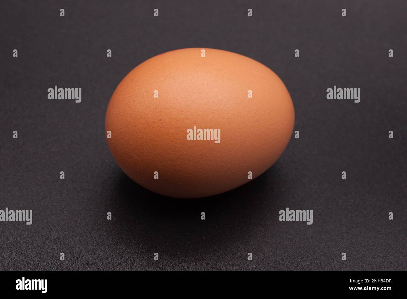 One chicken egg against a black background Stock Photo - Alamy