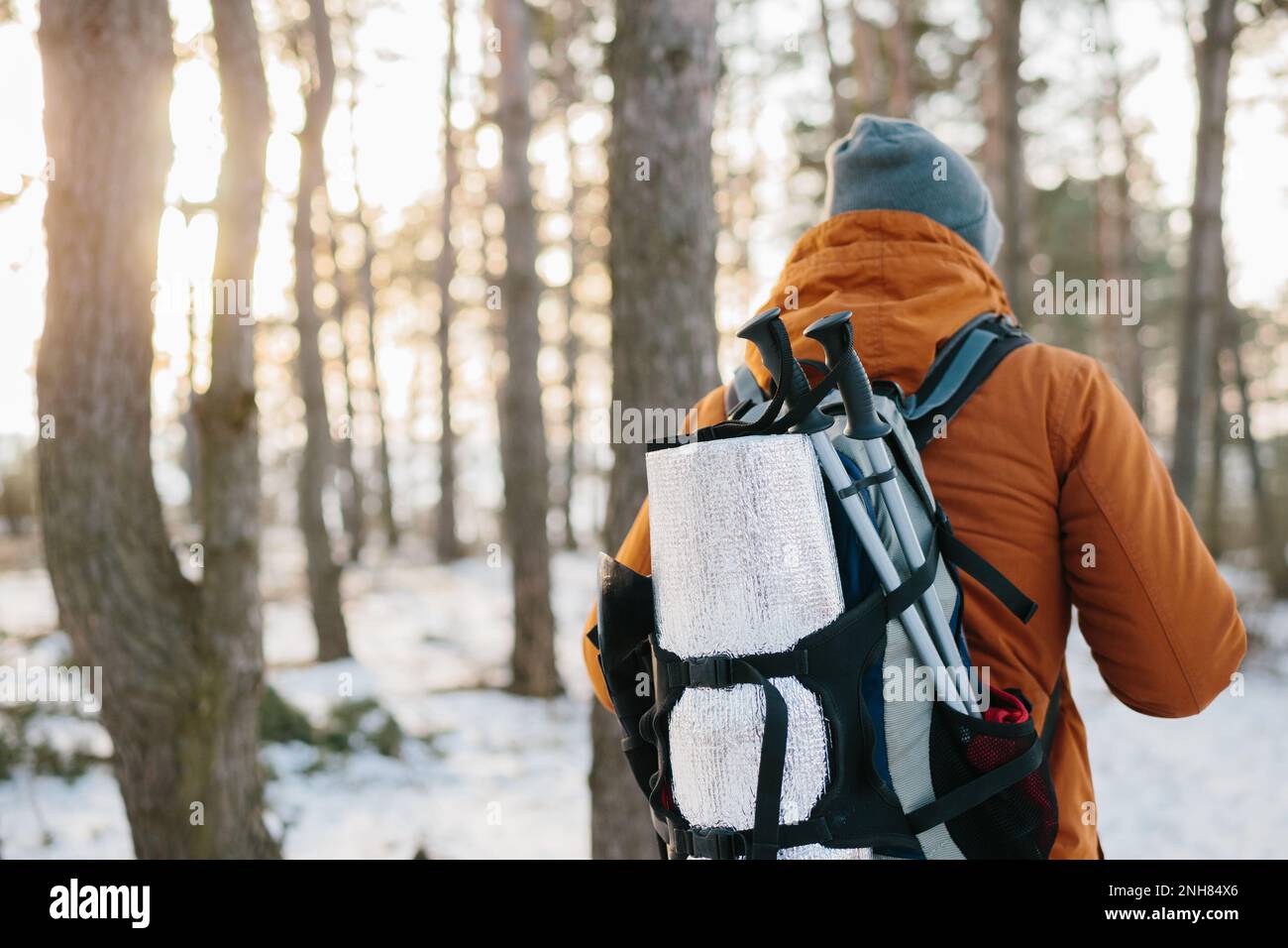 Hiker backpack forest hi-res stock photography and images - Alamy