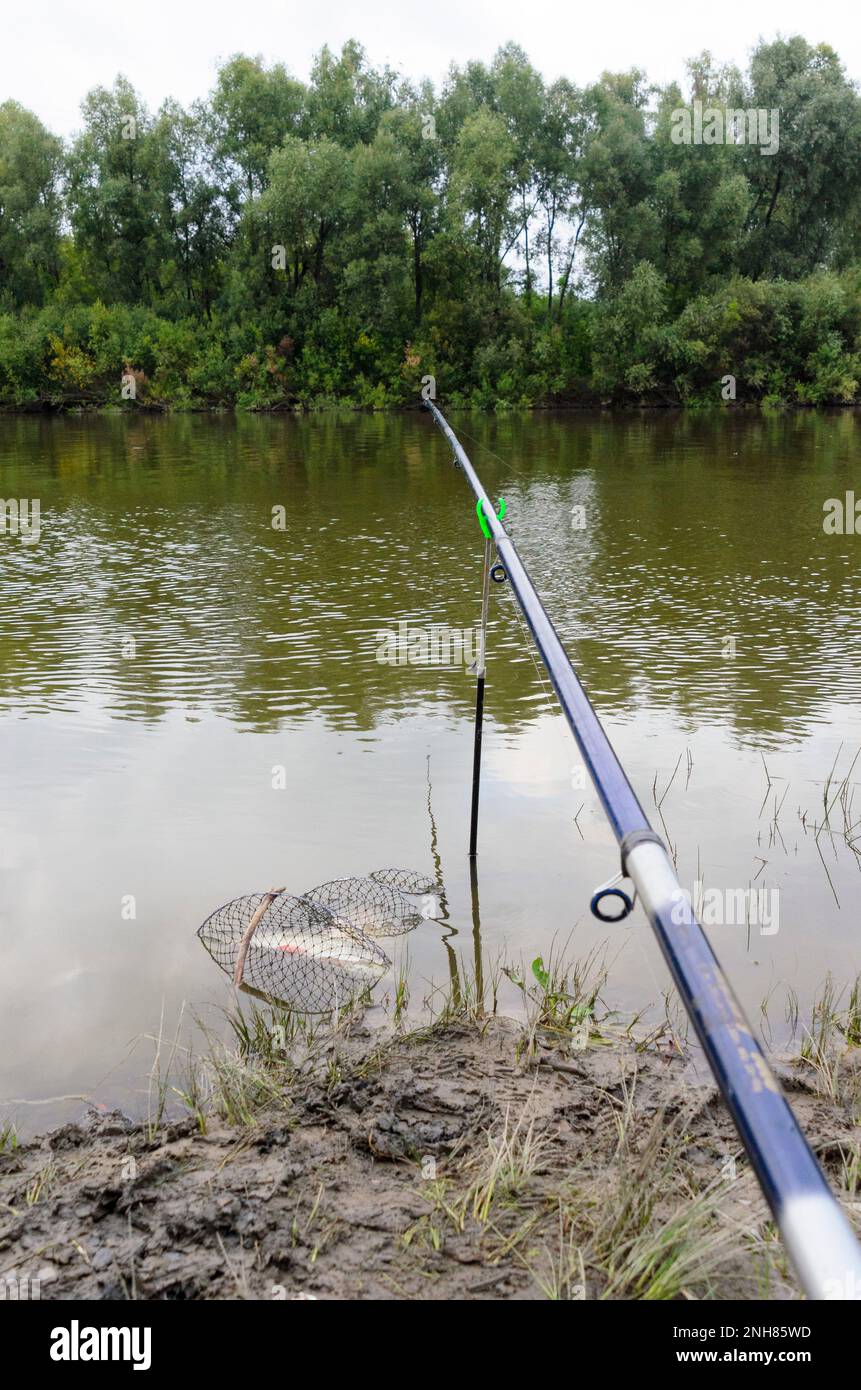 Fogo Rocket Fishing Rod