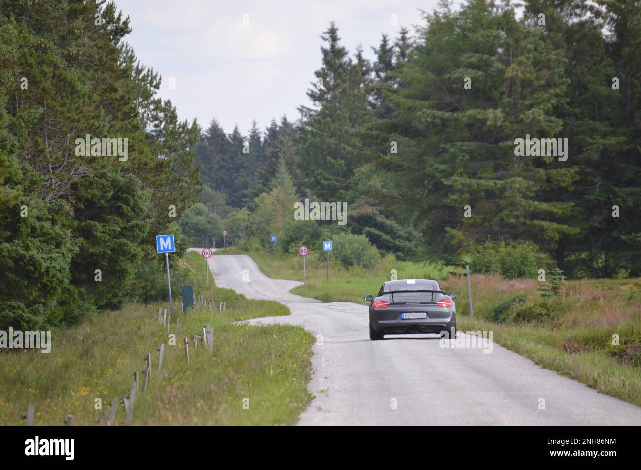 into the wild Stock Photo - Alamy