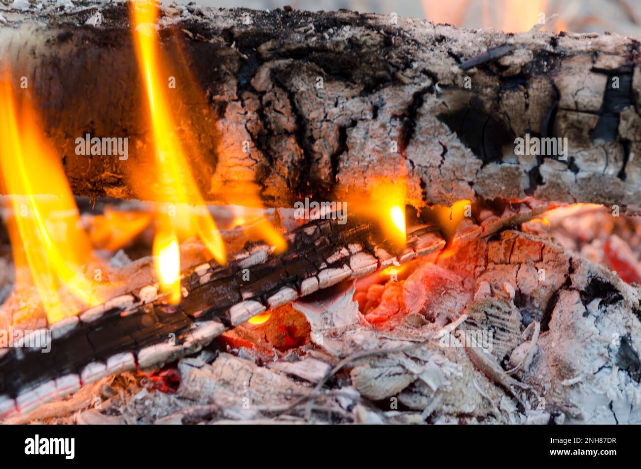 Flames of fire engulfed the black and white coals Stock Photo - Alamy