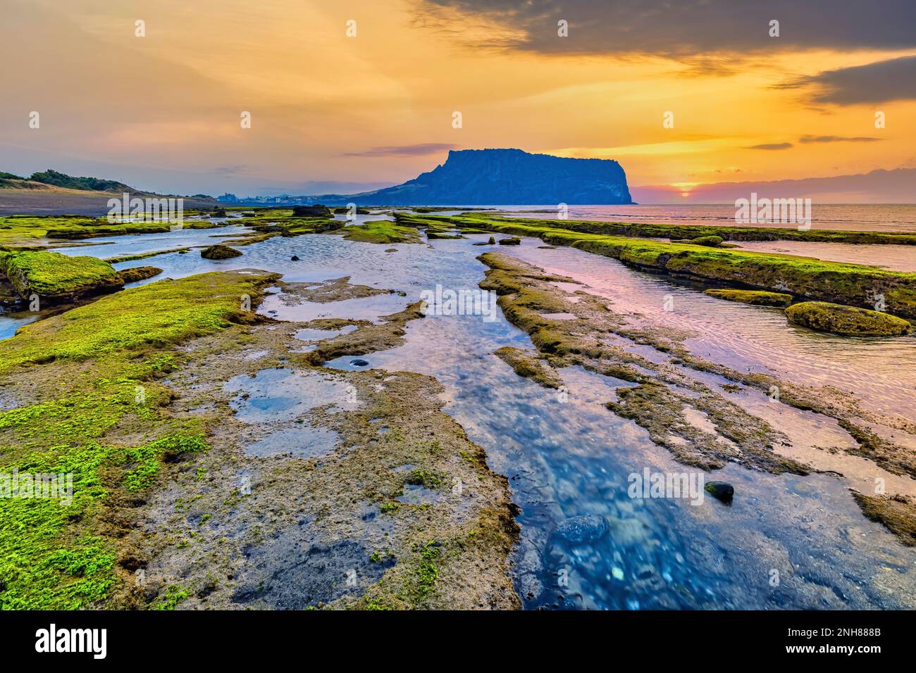 Jeju Island South Korea, Sunrise nature landscape at Jeju Do Seongsan ...
