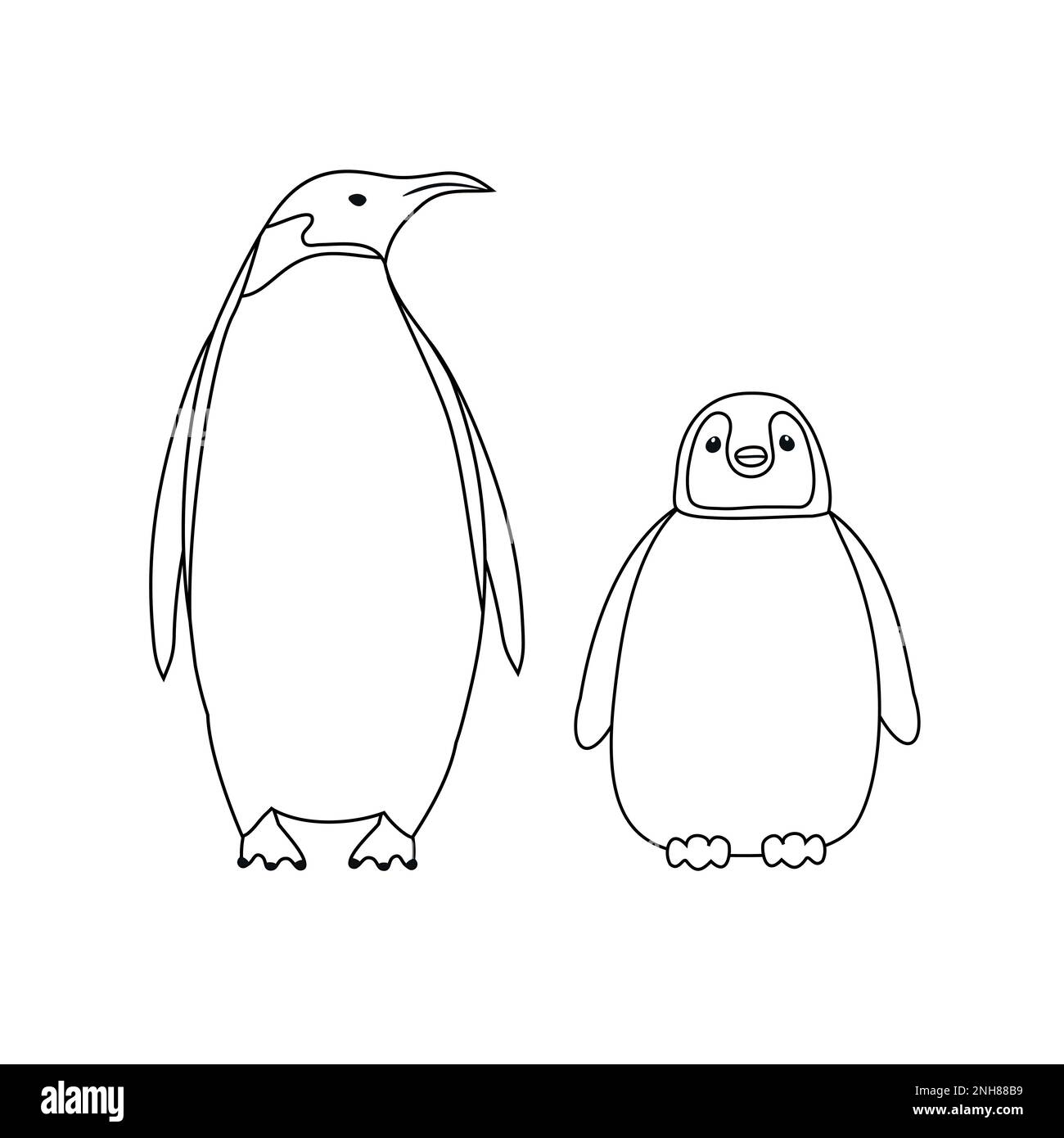Penguin Drawing Outline