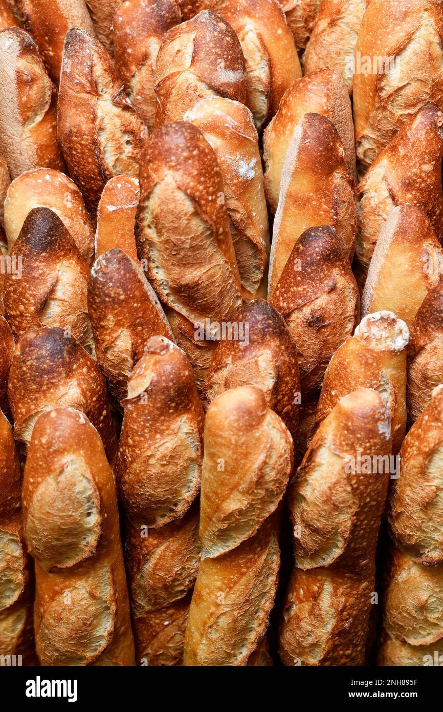Baguette - French Bread in a bakery - Paris - France Stock Photo - Alamy