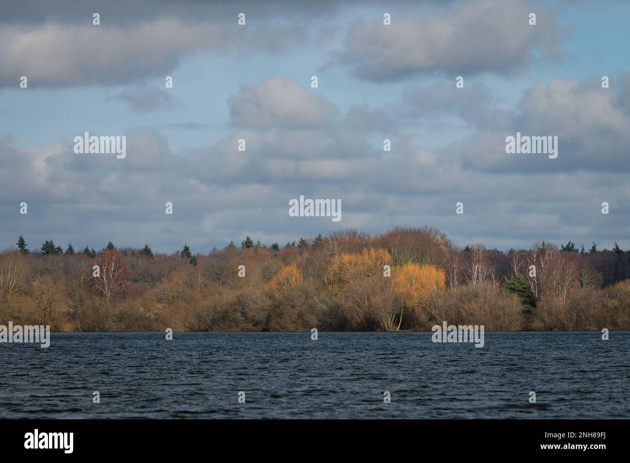 Alton Water (Alton Reservoir) on a sunny day in February. Warm colours ...
