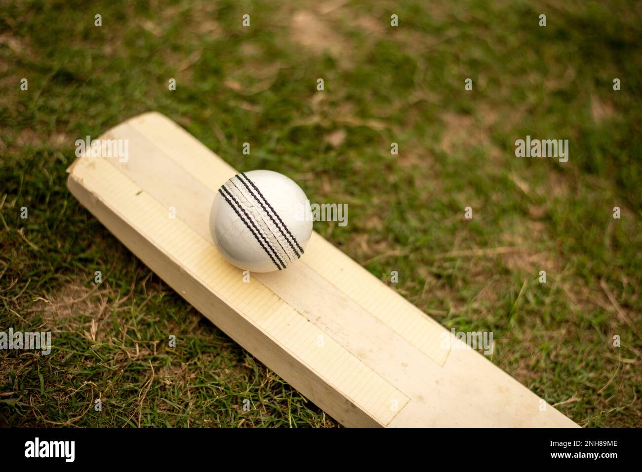 Cricket bat and ball on playing grass field pitch Stock Photo - Alamy