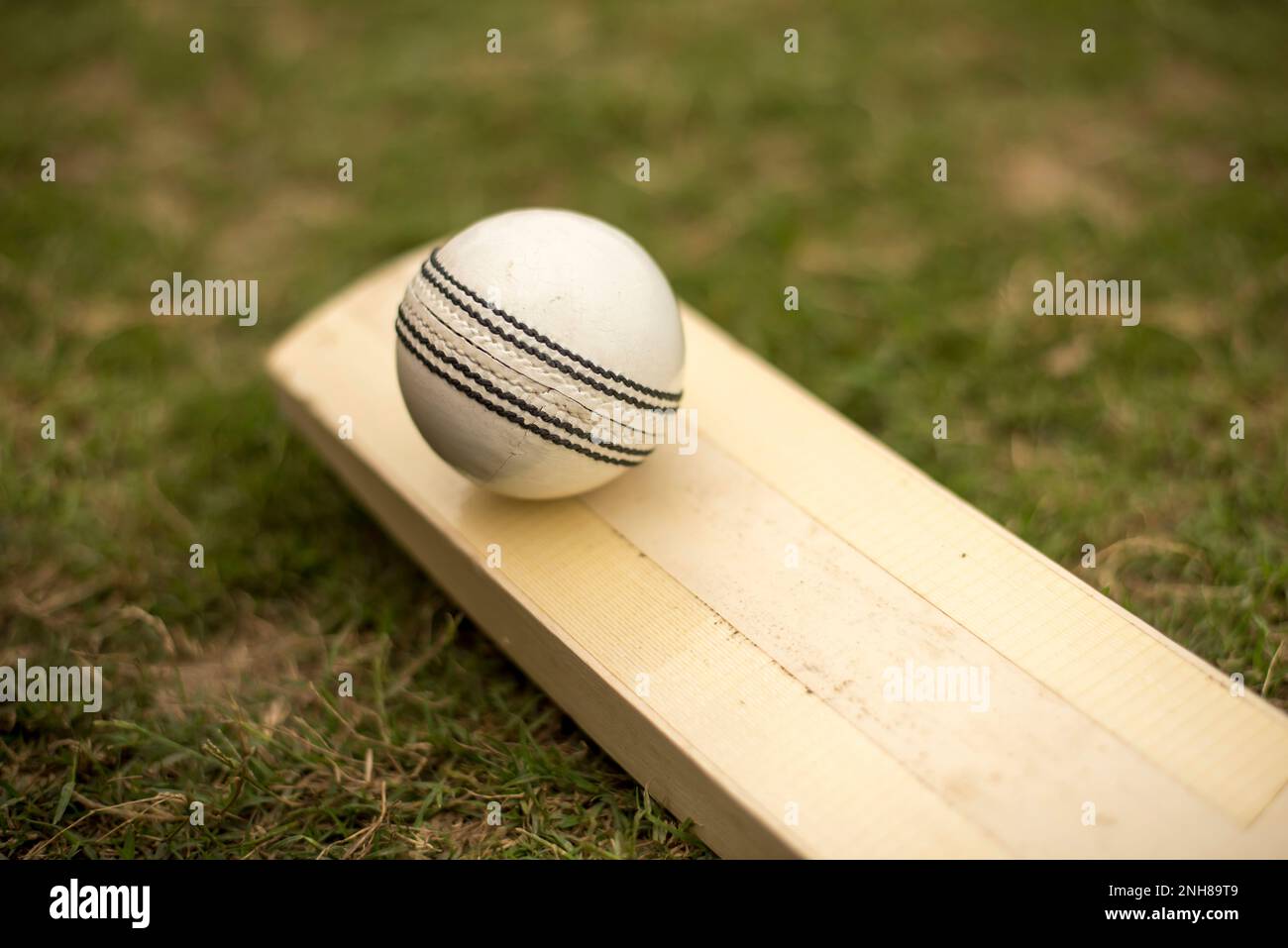 Cricket bat and ball on playing grass field pitch Stock Photo - Alamy