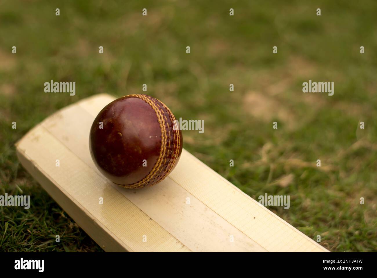 Cricket bat and ball on playing grass field pitch Stock Photo - Alamy