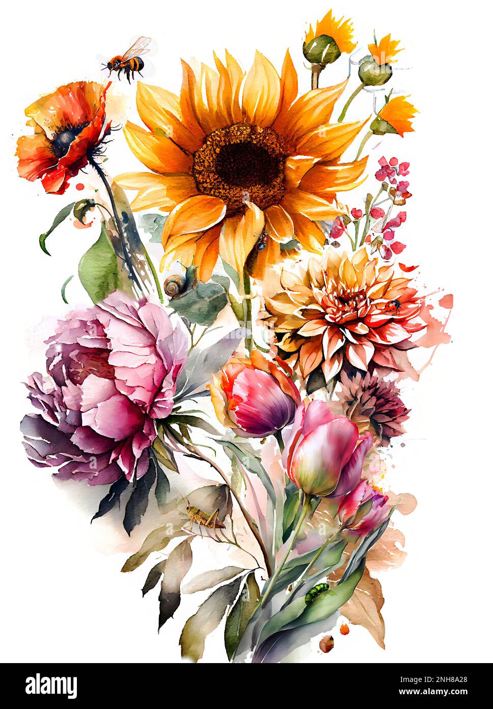 Hand drawn garden sunflower hi-res stock photography and images - Alamy