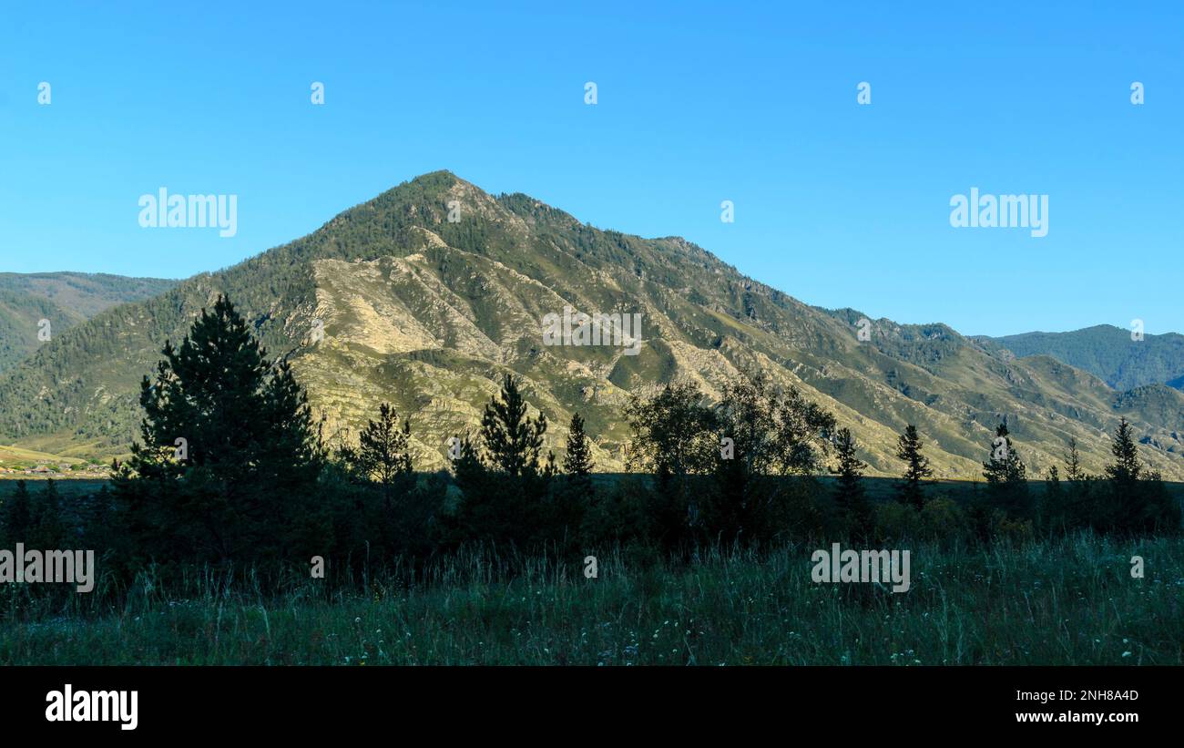 Shadow dry outdoor trees hi-res stock photography and images - Alamy
