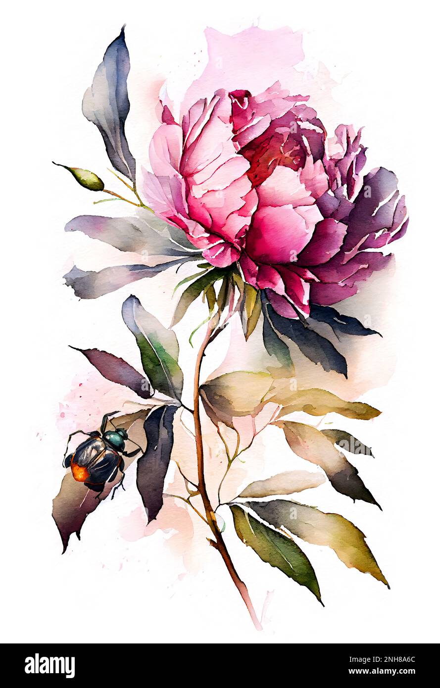 Peony Painting