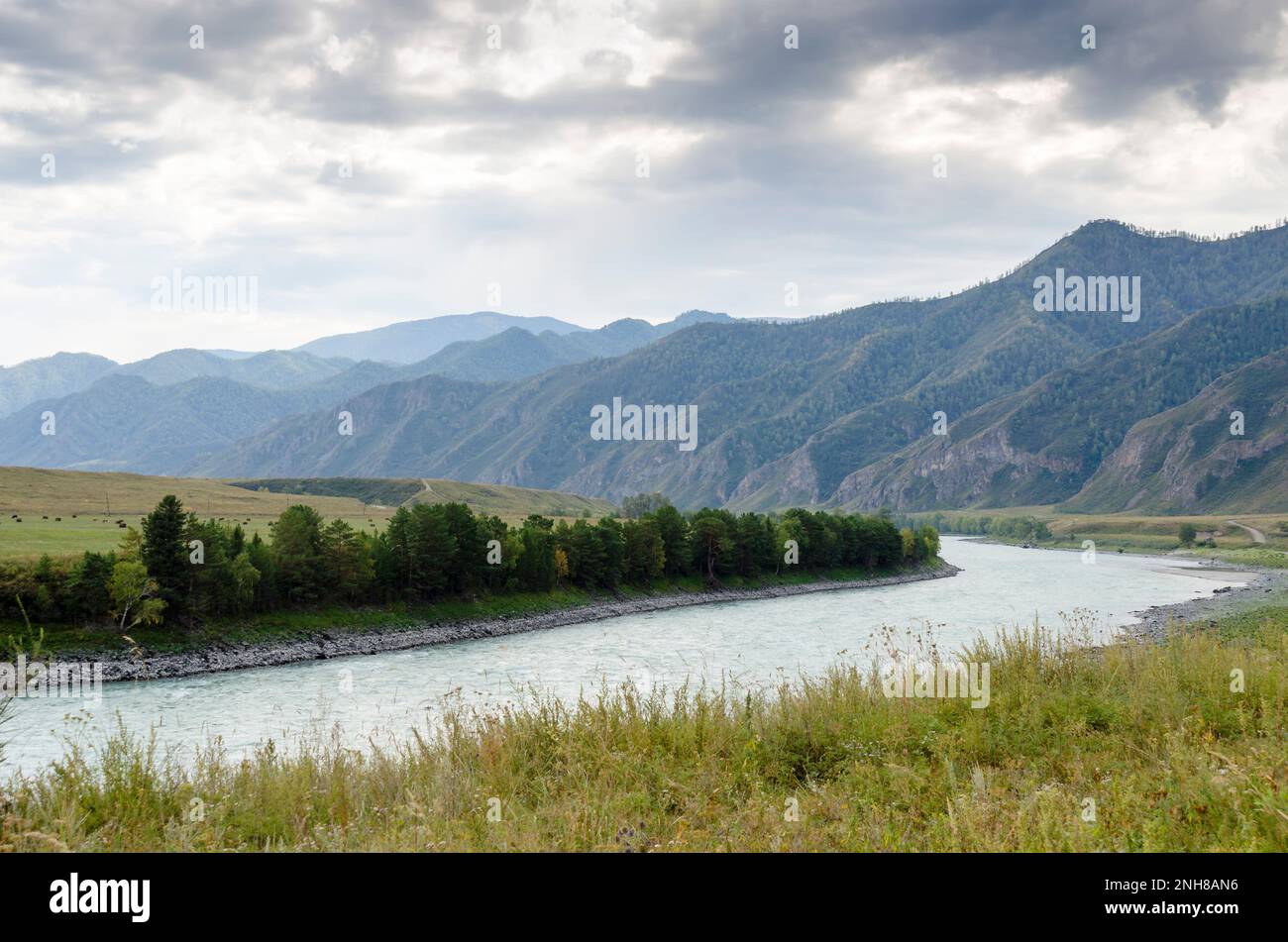 The river is turquoise Katun flows among the mountains under rain storm ...