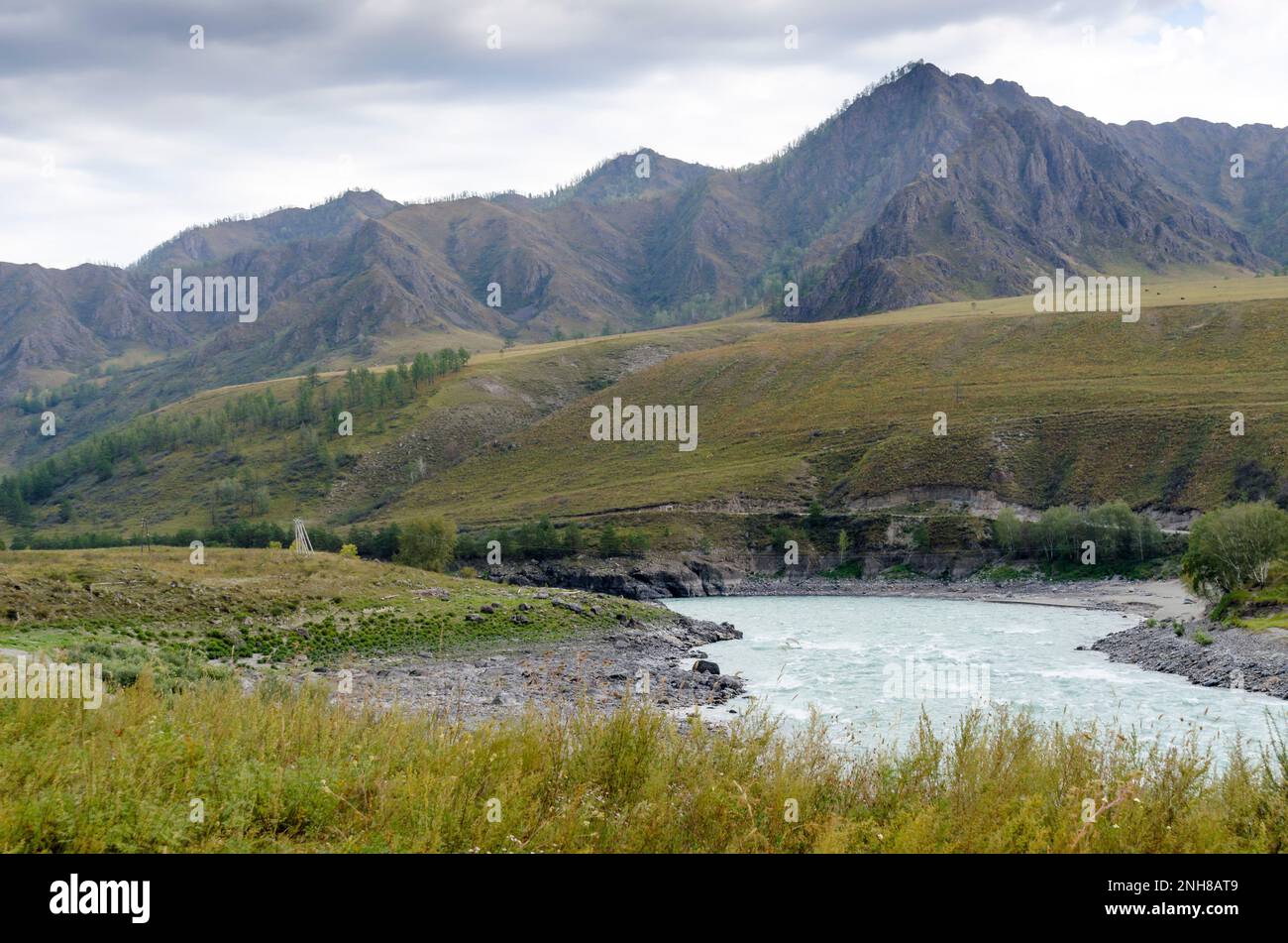 The river is turquoise Katun flows among the mountains under rain storm ...