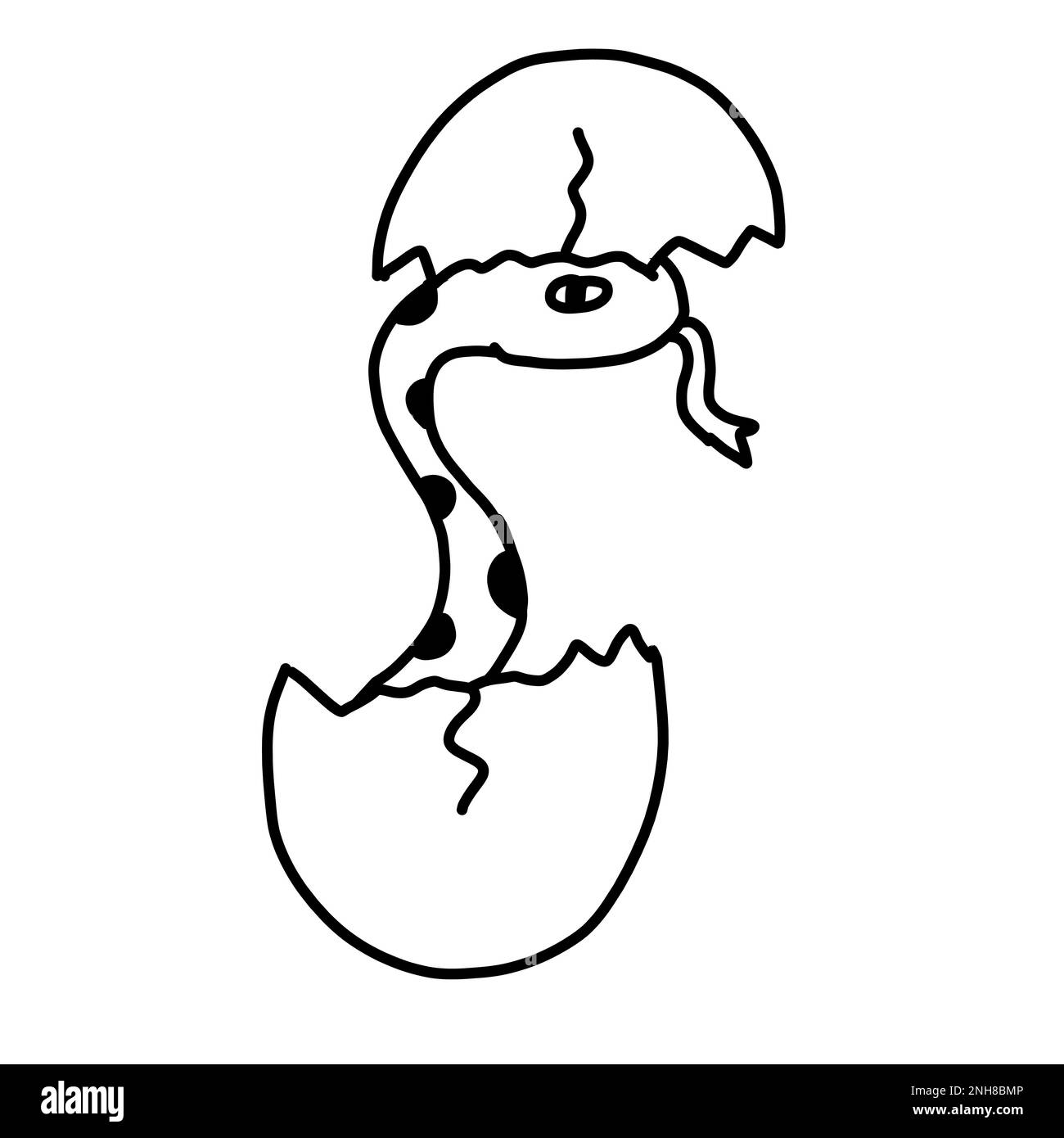 Cute Snake from the egg for coloring. Vector illustration in cartoon ...