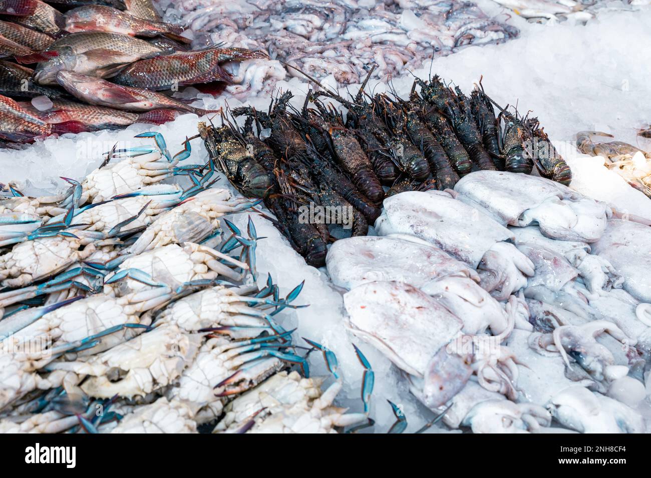 Fresh seafood and fishes at the fish market in Hurghada, Egypt Stock ...