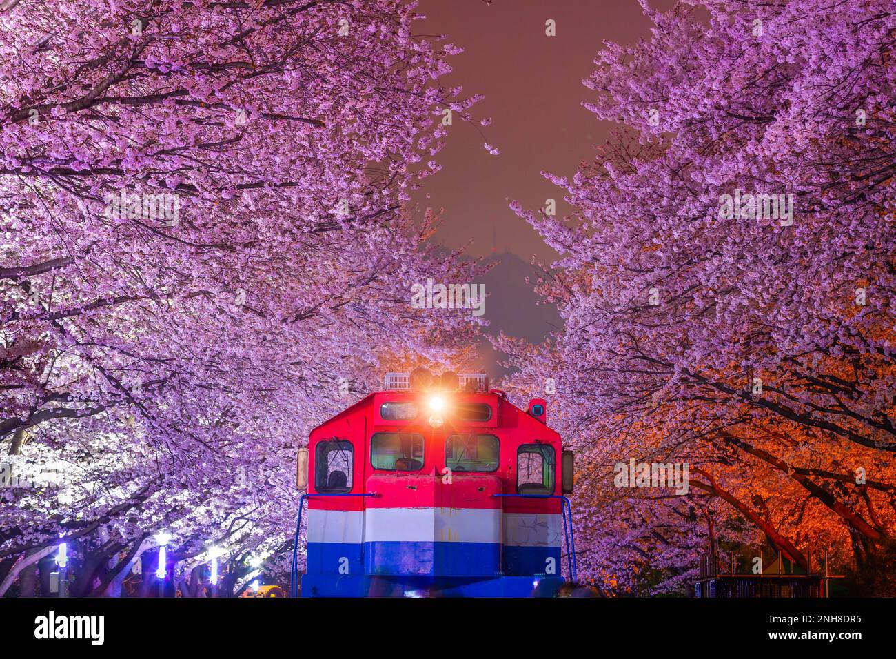 Viewing full train hi-res stock photography and images - Alamy
