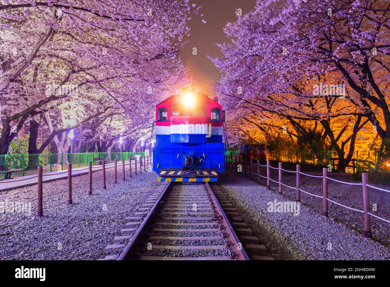 Cherry blossom in spring is the popular cherry blossom viewing spot ...