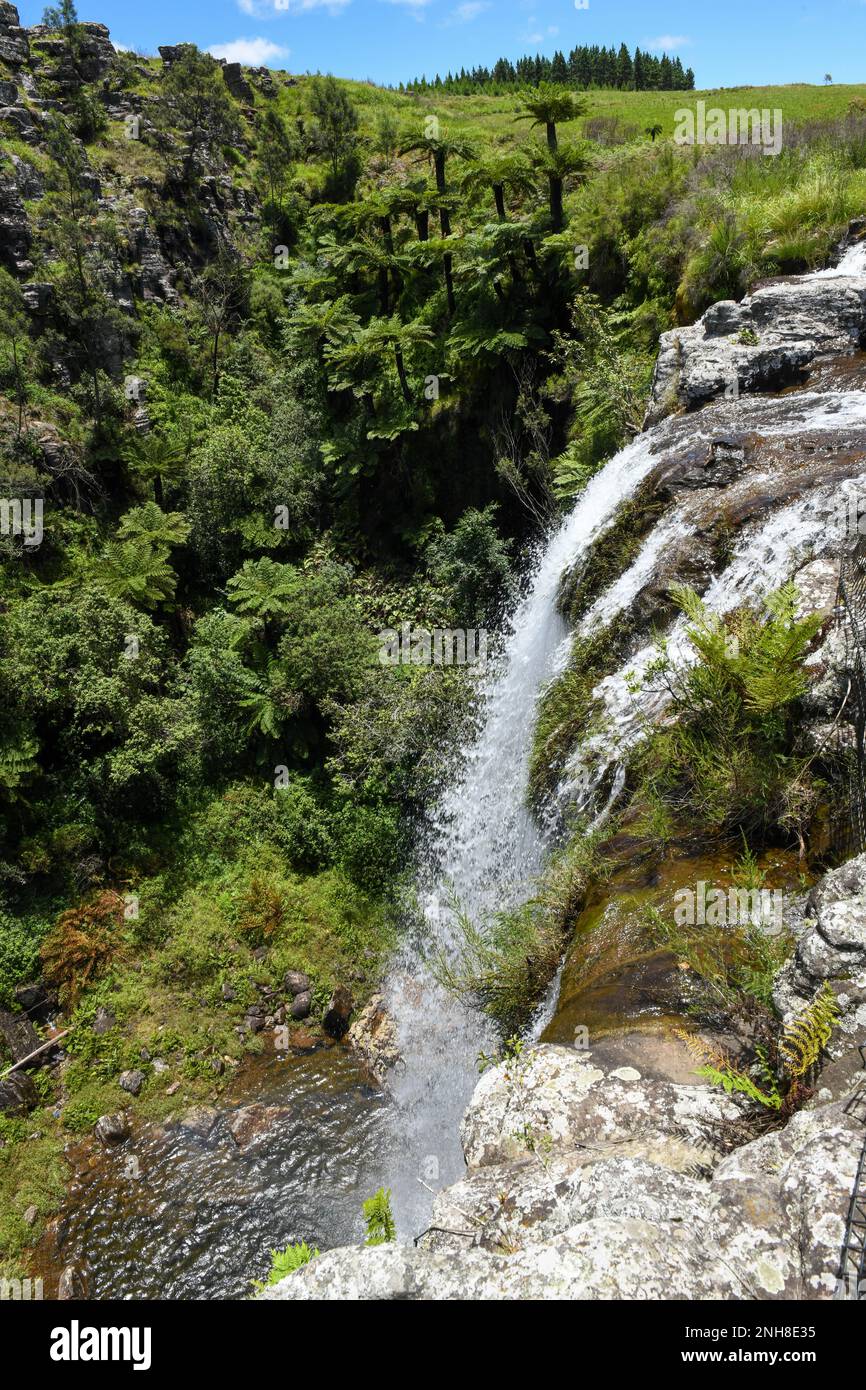 View at Lisbon waterfall near Graskop on South Africa Stock Photo - Alamy