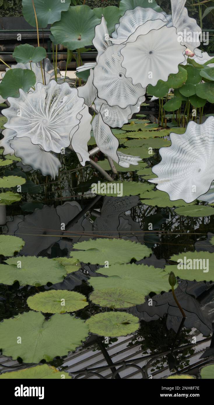Glass sculpture dale chihuly kew hi-res stock photography and images ...