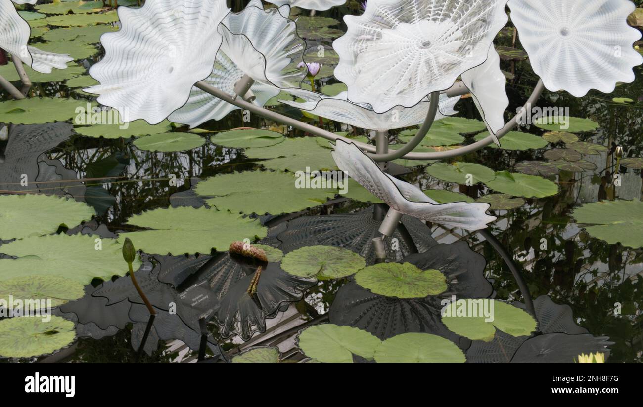 Glass sculpture dale chihuly kew hi-res stock photography and images - Alamy