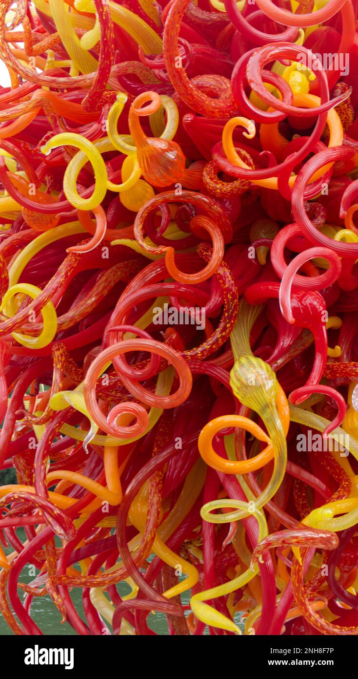 Close Up Of Summer Sun By American Glass Artist Dale Chihuly Reflections On Nature Exhibition