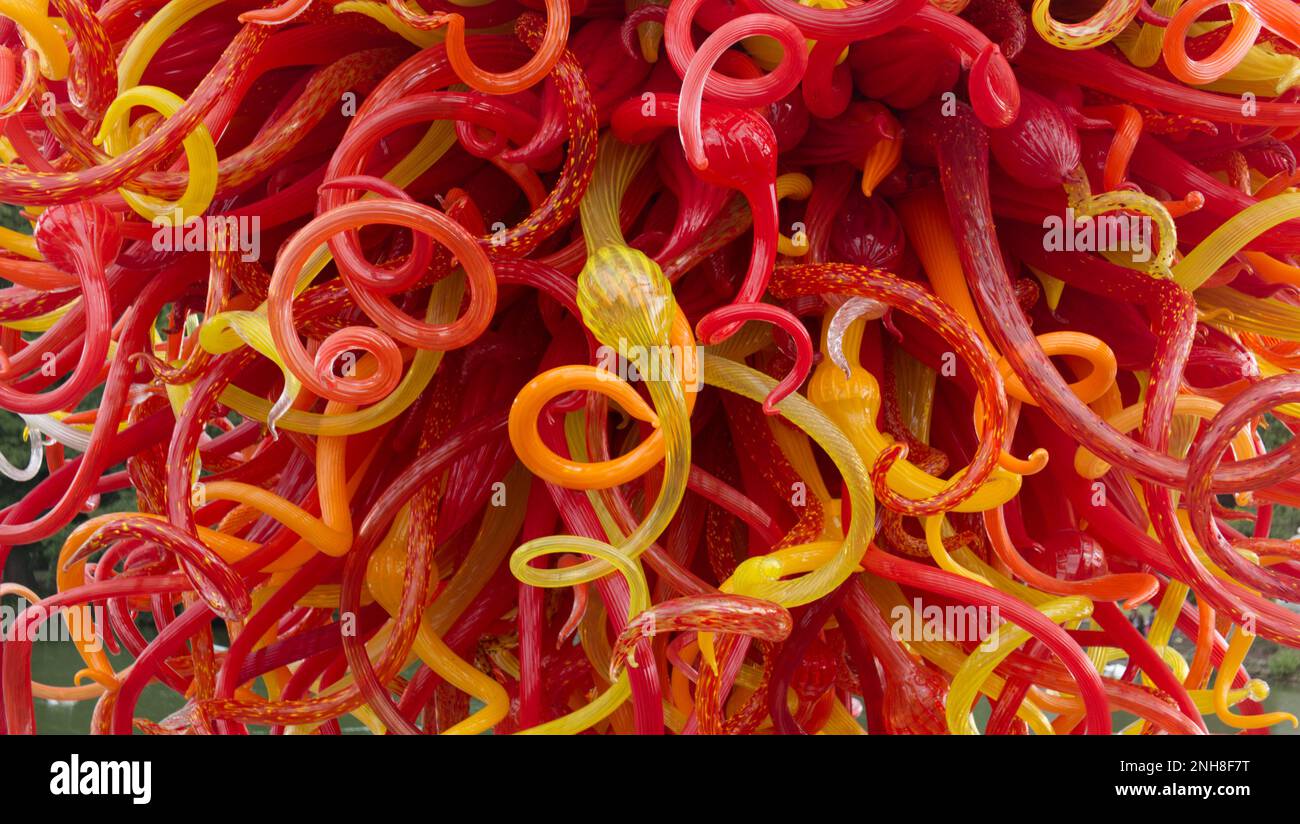 Close Up Of Summer Sun By American Glass Artist Dale Chihuly Reflections On Nature Exhibition