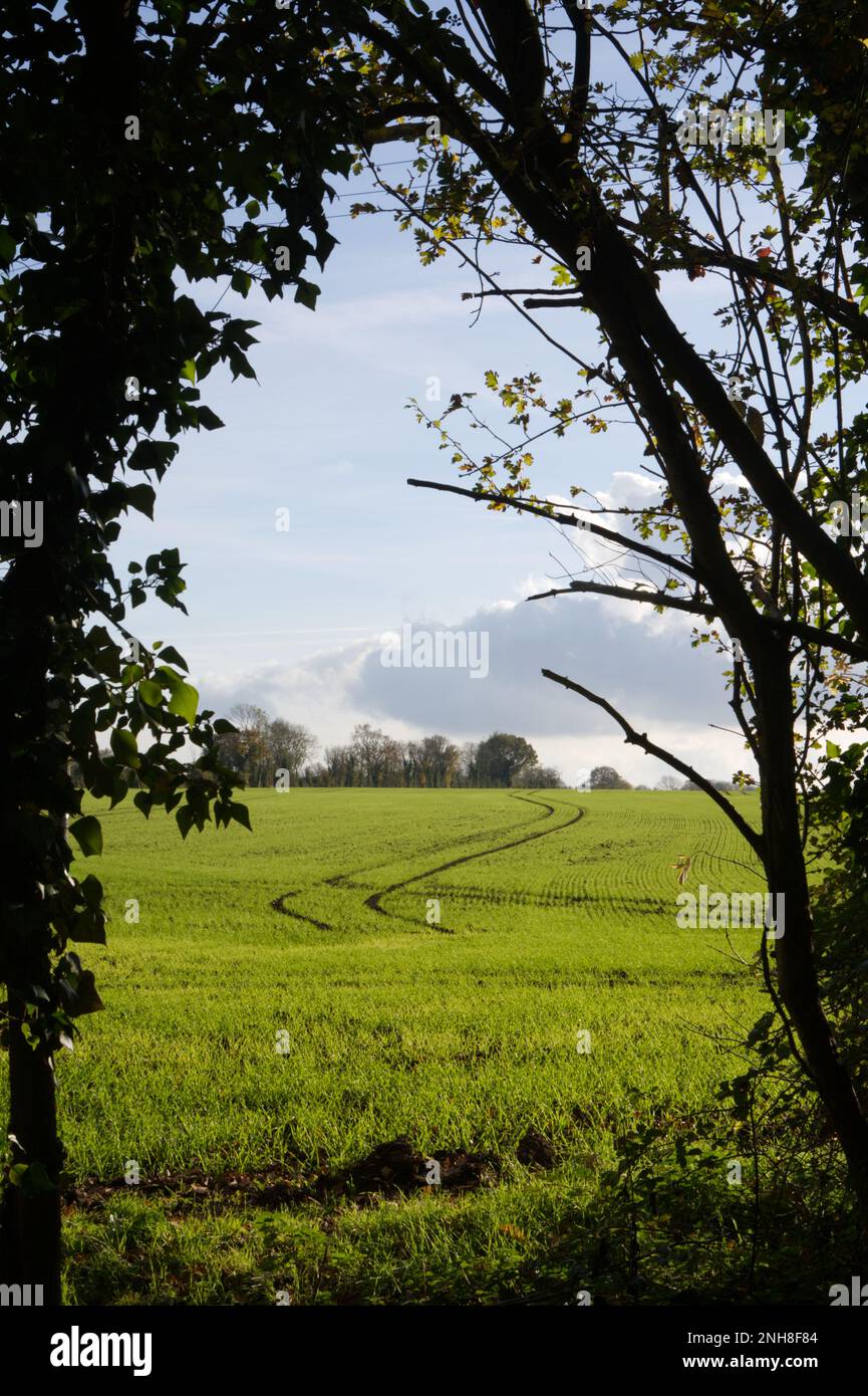 Norfolk tracks hi-res stock photography and images - Alamy