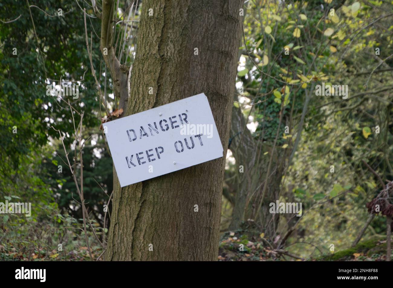 Danger Keep Out sign nailed to a tree trunk Stock Photo - Alamy