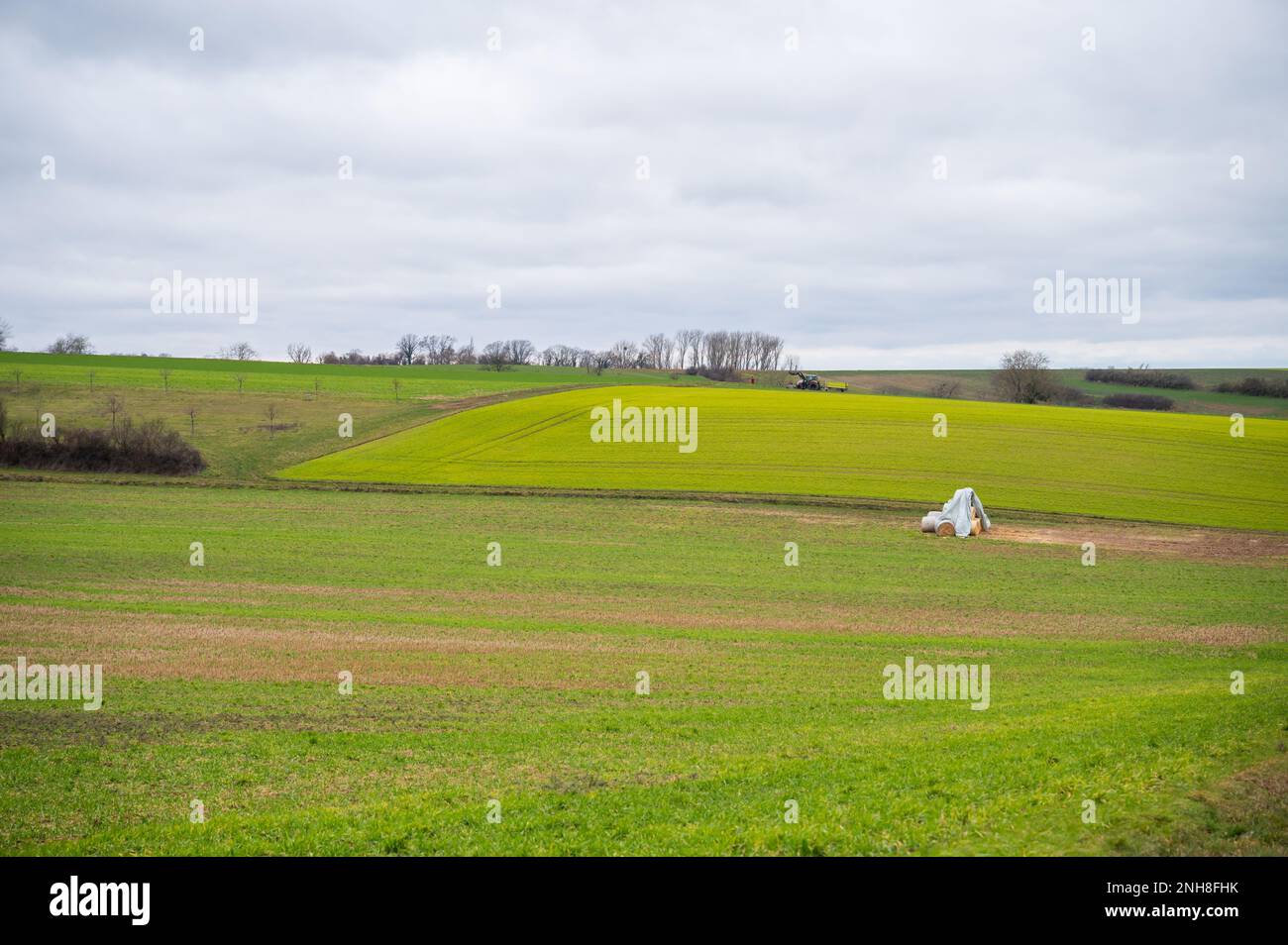 Multiple agricultural fields landscape with a tractor with trailer in ...