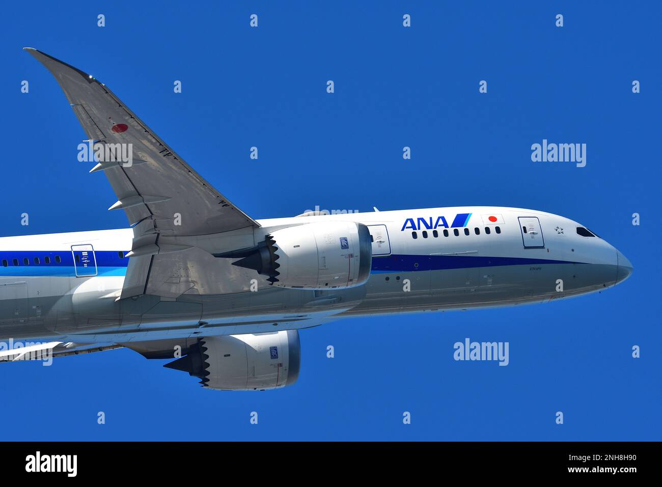 Boeing 787 all nippon airways hi-res stock photography and images - Alamy