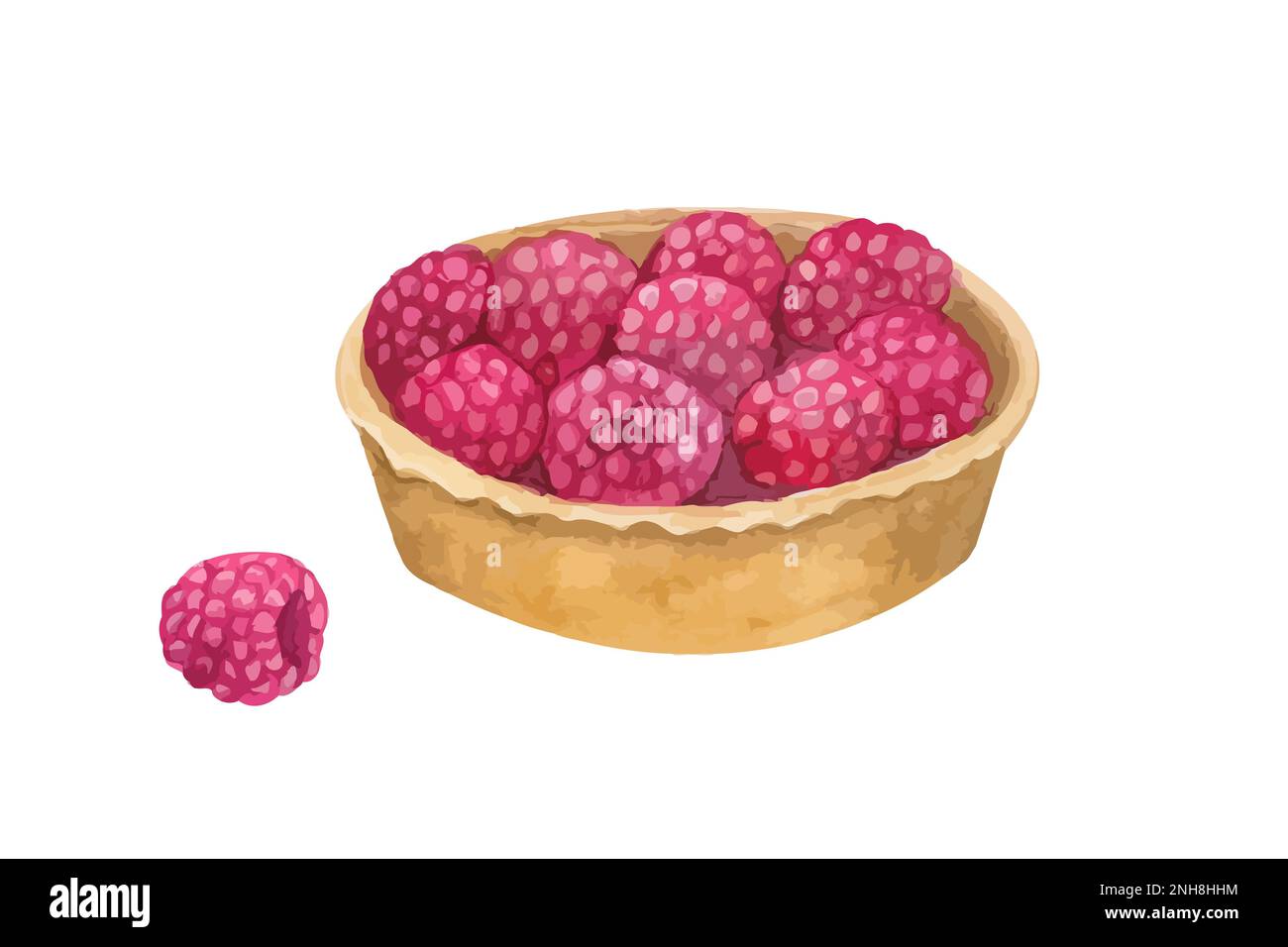 Tartlet with raspberries. Vector hand drawn watercolor food pastry ...