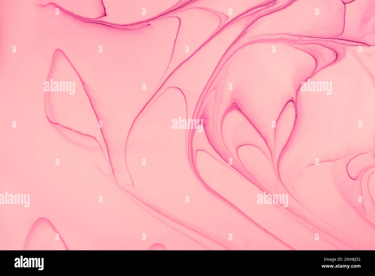 Watercolor soft pink transparent background. Soft and bright ink ...