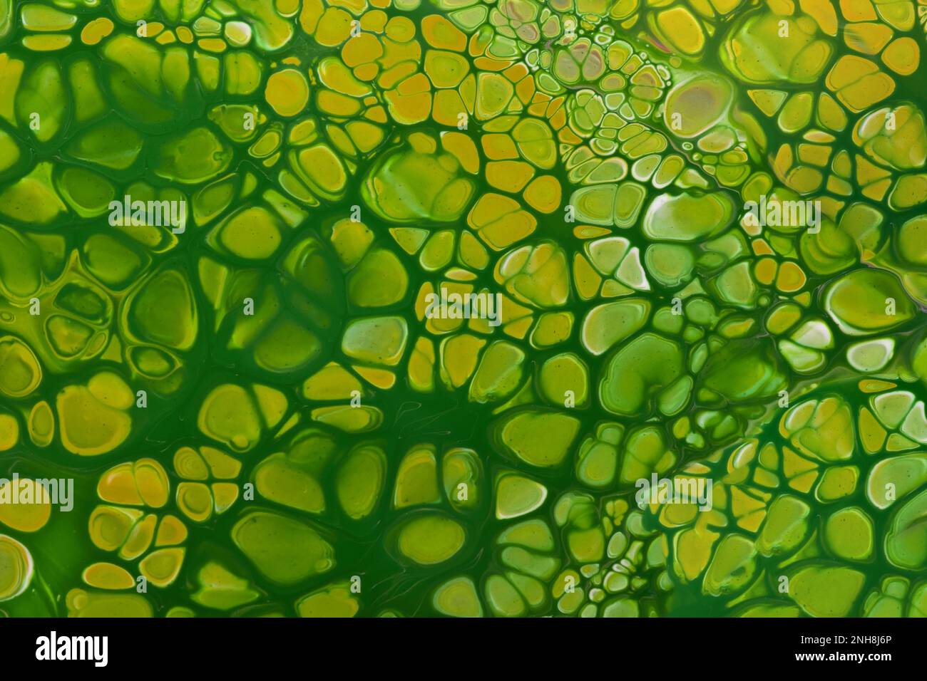 Abstract fluid or liquid art background green and yellow colors ...