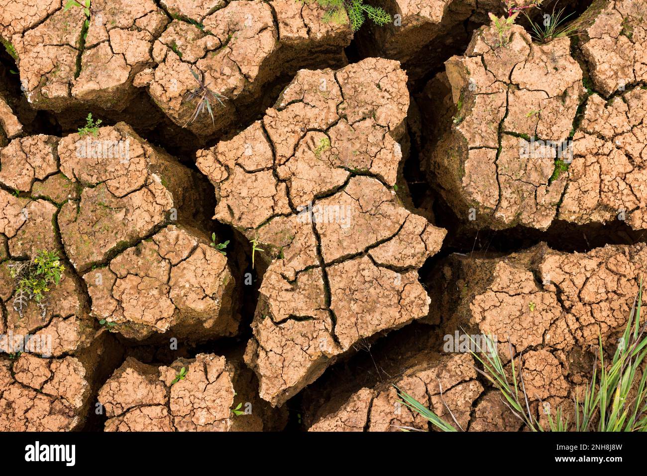 Drying cracks on the clay bottom of the reservoir after the water has ...
