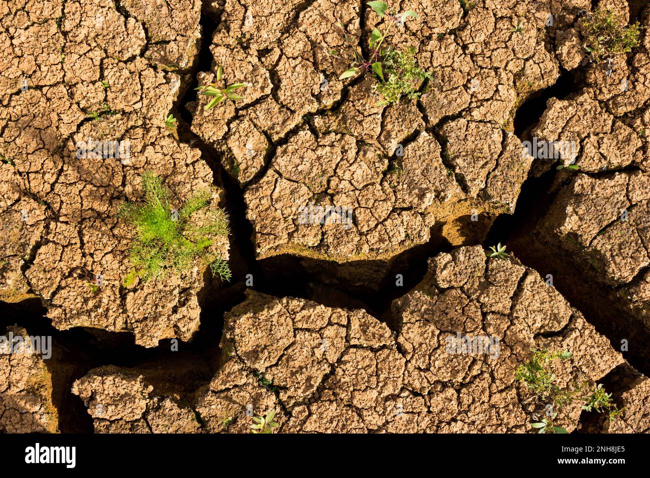 Drying cracks on the clay bottom of the reservoir after the water has ...
