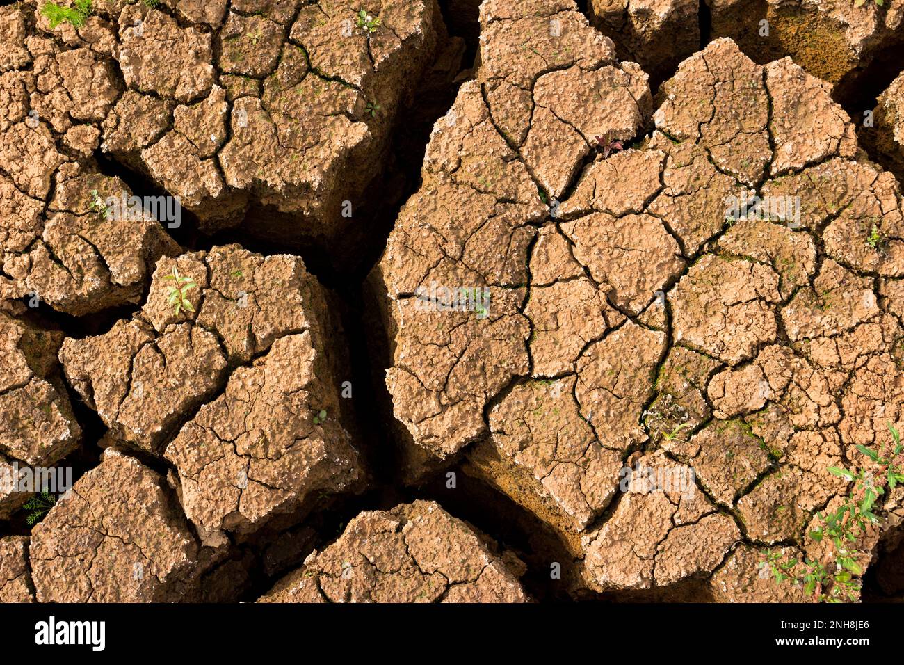 Drying cracks on the clay bottom of the reservoir after the water has ...