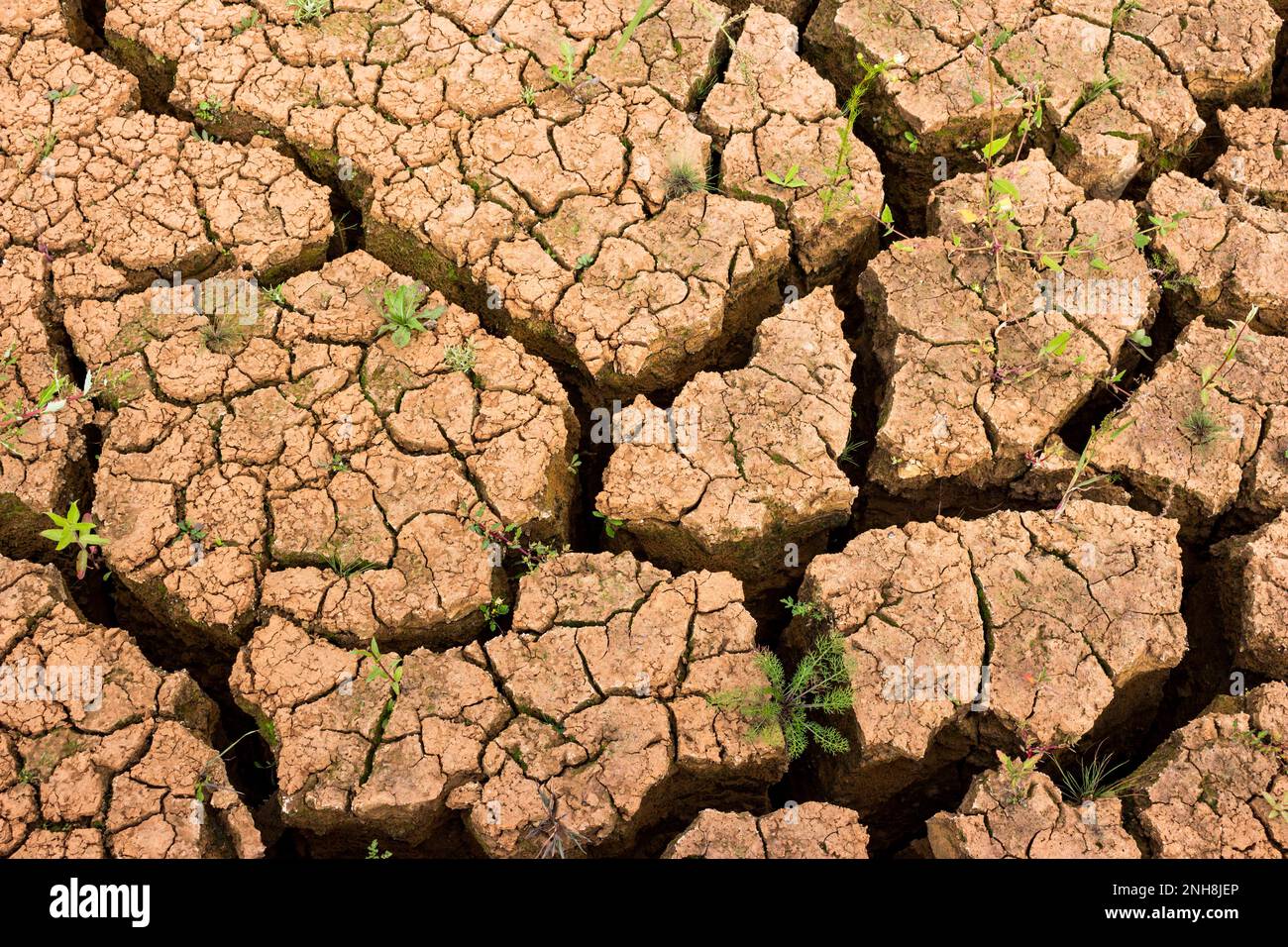 Drying cracks on the clay bottom of the reservoir after the water has ...